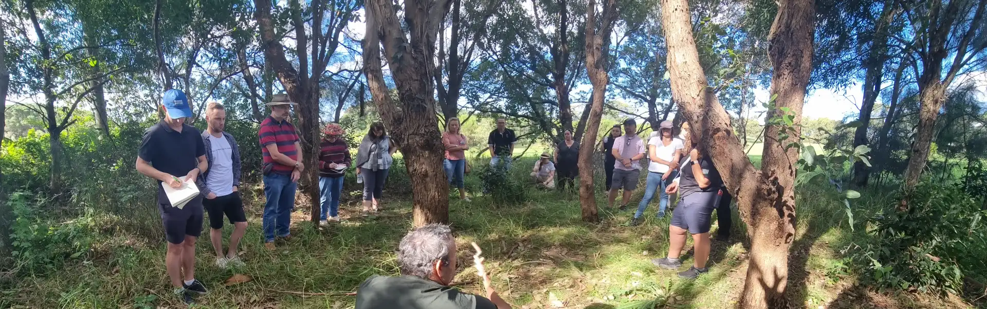 Masterclasses - Stronger Smarter